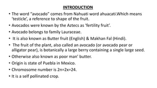 Breeding of avocado | PPTX