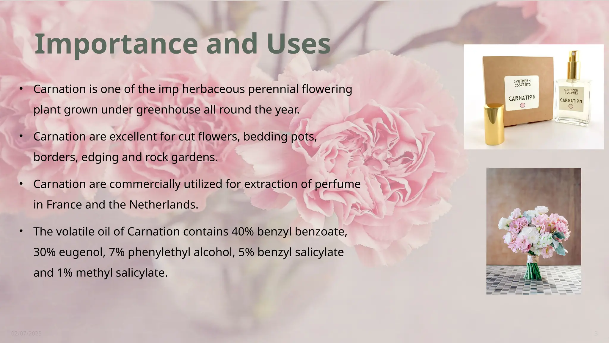 Crop improvement, Floral biology and achievements in breeding of ...
