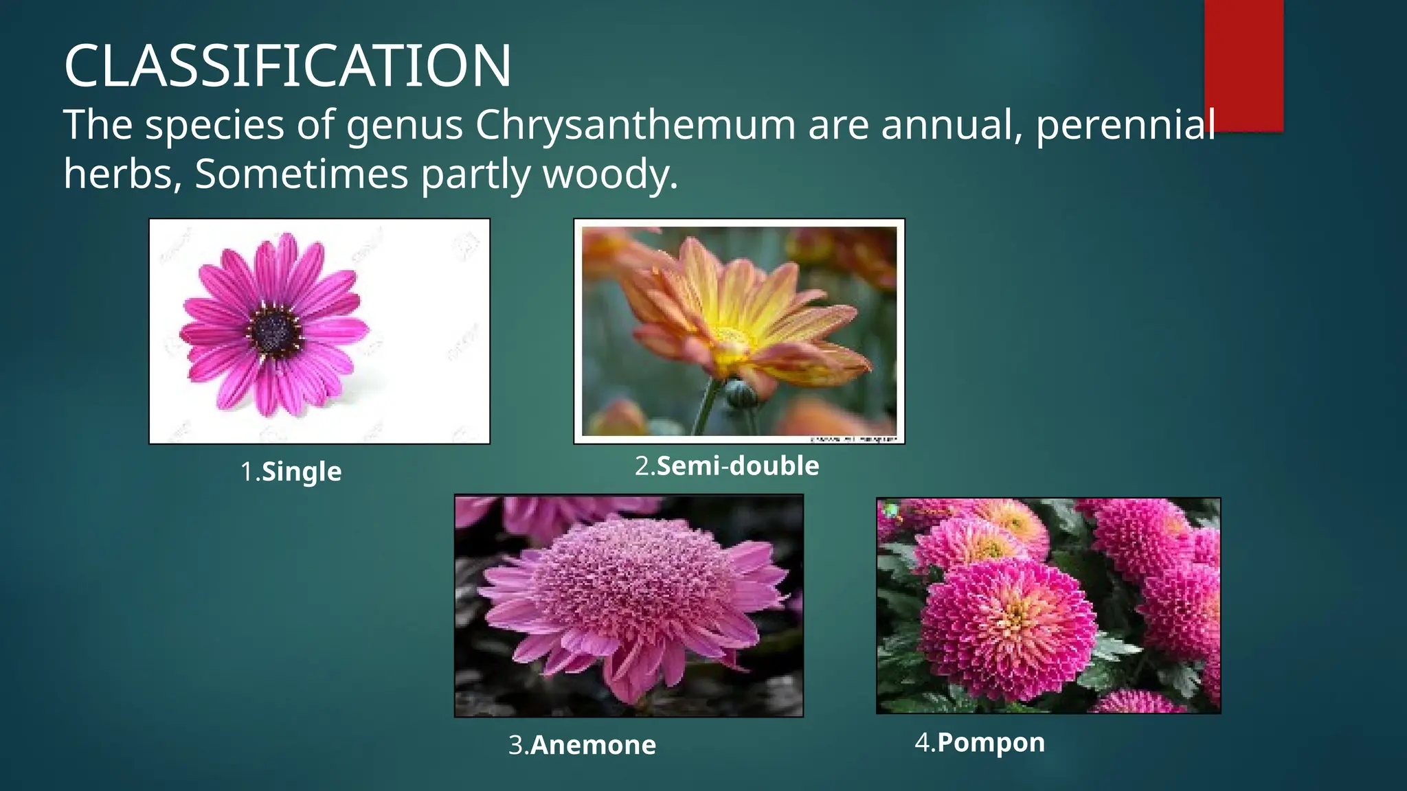 Crop improvement, Floral biology and achievements in breeding of ...