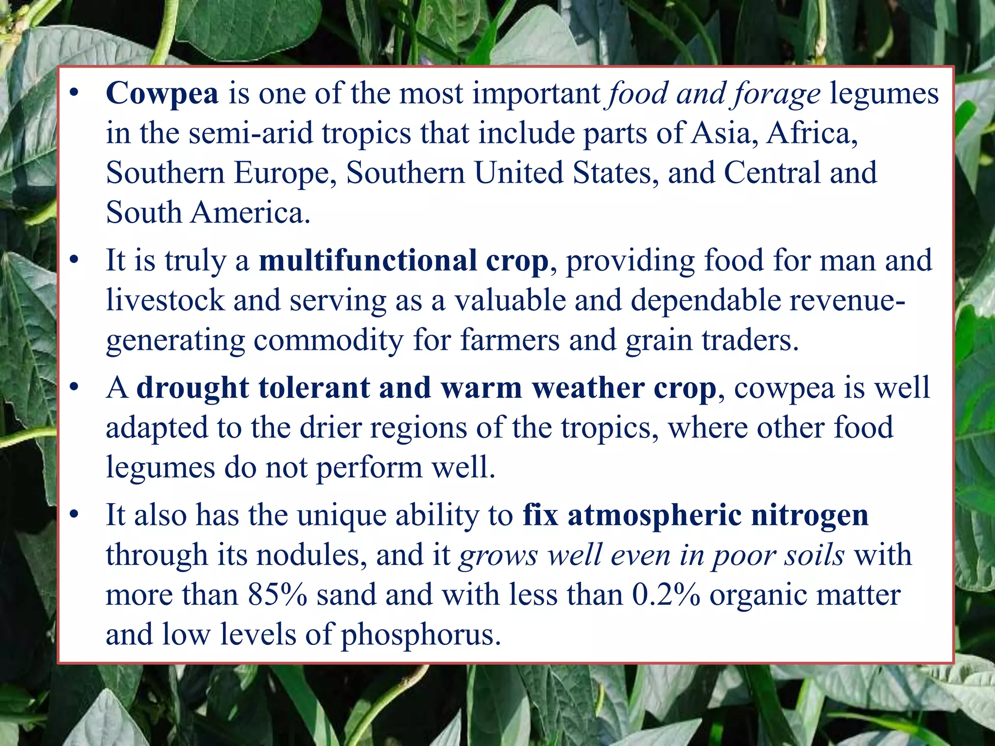 Breeding of cowpea | PPTX