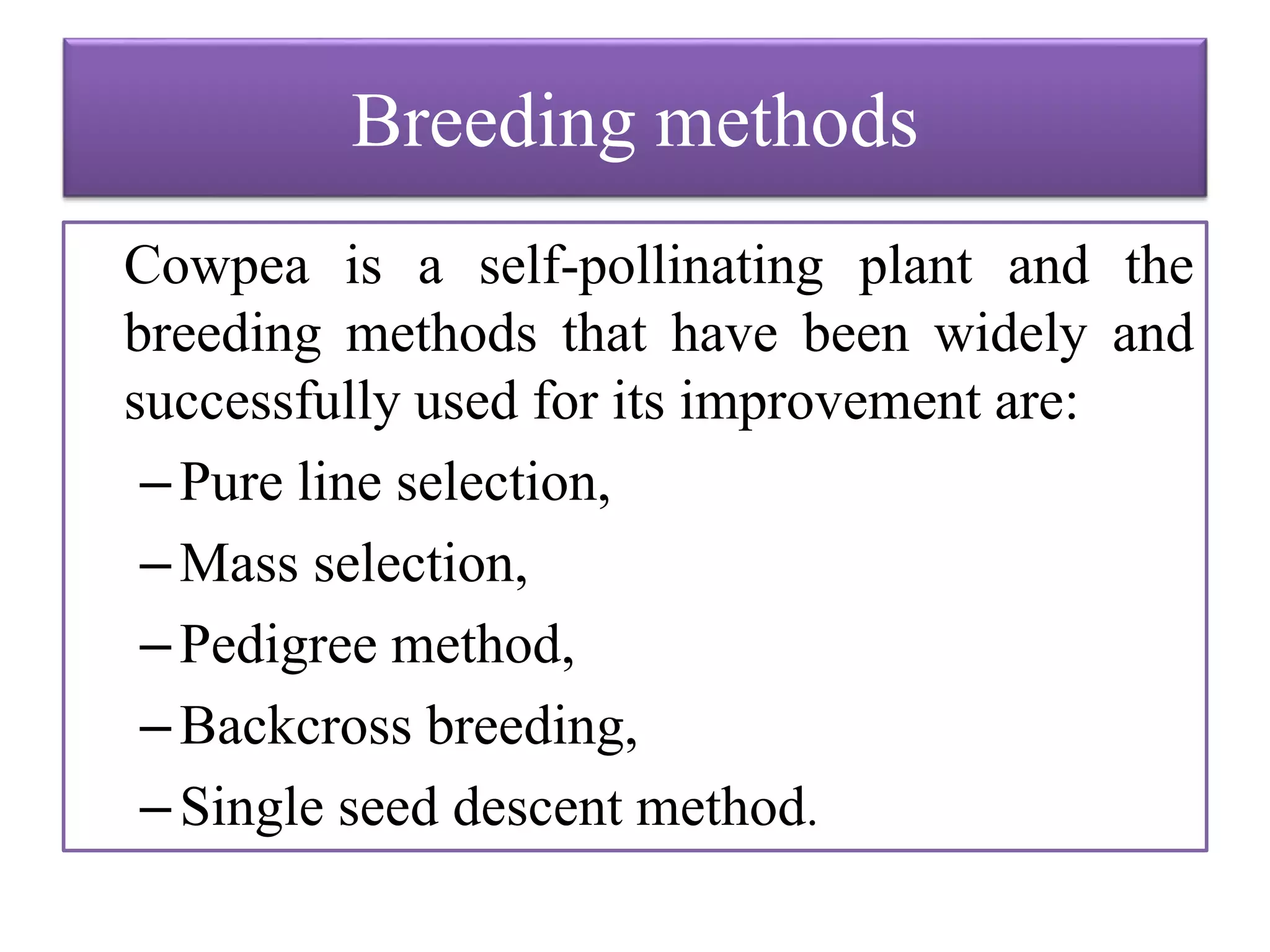 Breeding of cowpea | PPTX