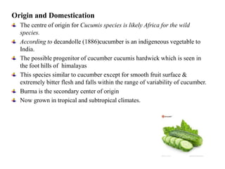 Breeding of cucurbits | PPTX