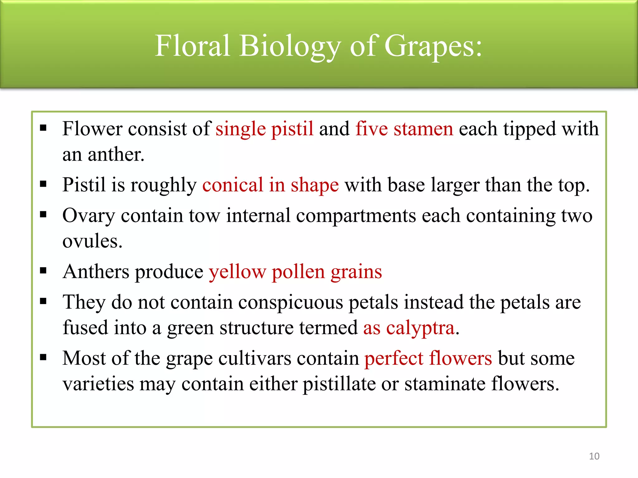 Breeding of grapes | PPTX
