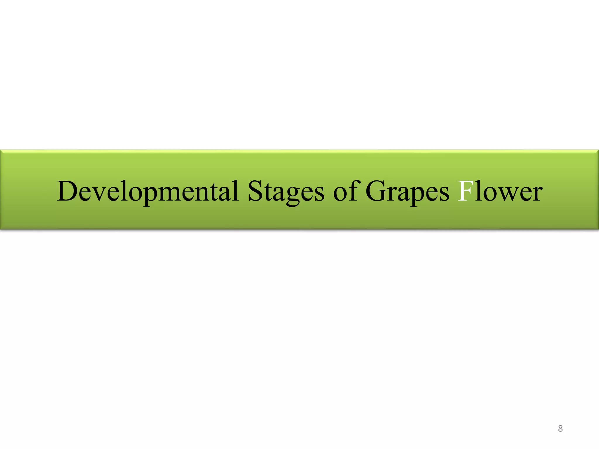 Breeding of grapes | PPTX