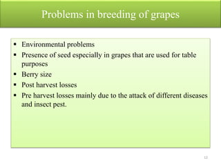 Breeding of grapes | PPTX