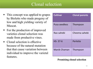 Breeding of grapes | PPTX