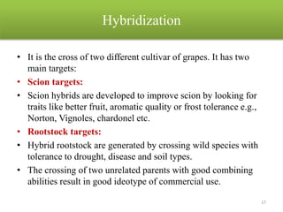 Breeding of grapes | PPTX