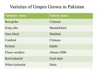 Breeding of grapes | PPTX