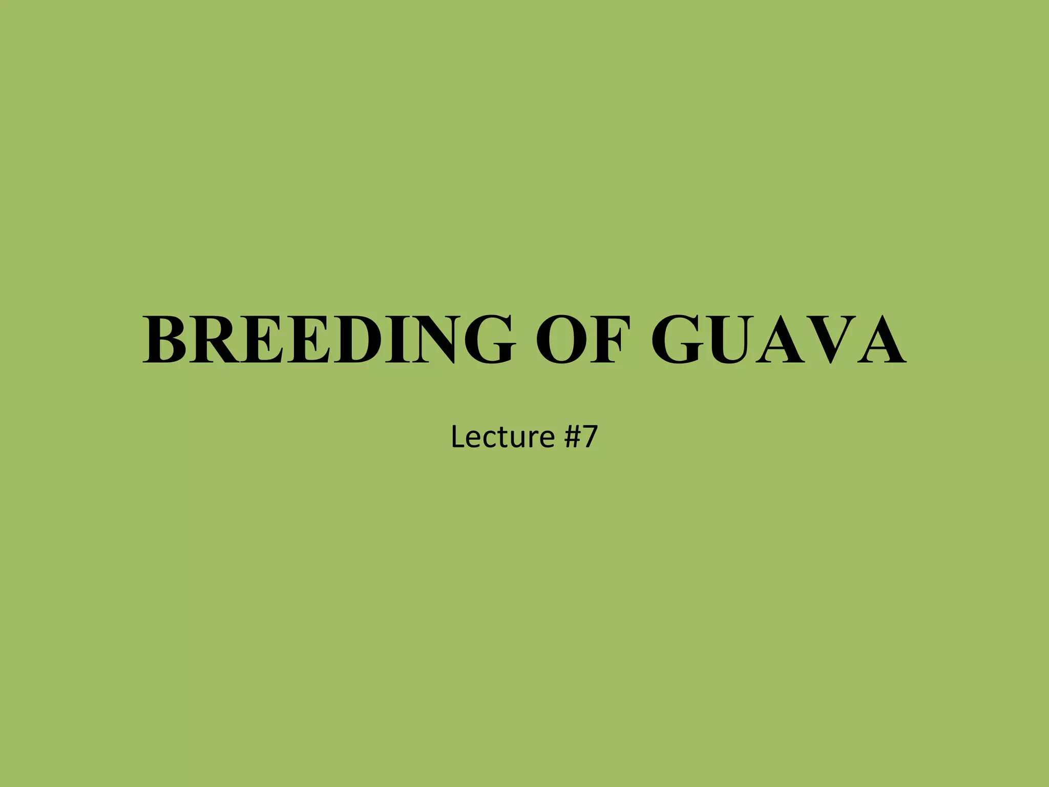 Breeding of guava | PPTX