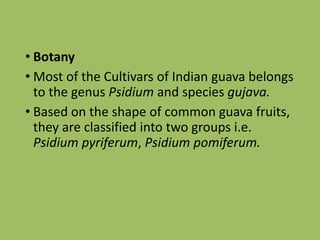 Breeding of guava | PPTX