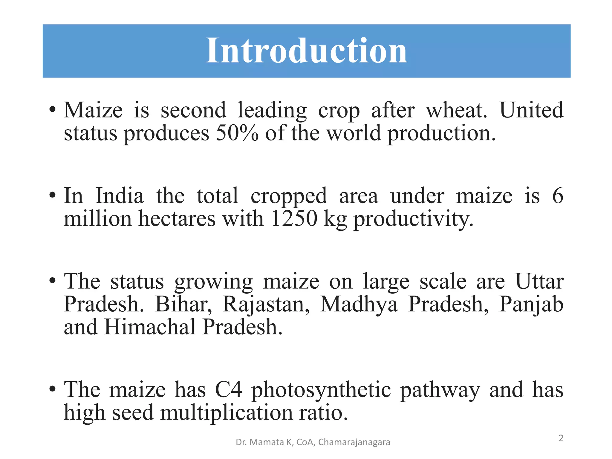 Breeding of Maize | PDF