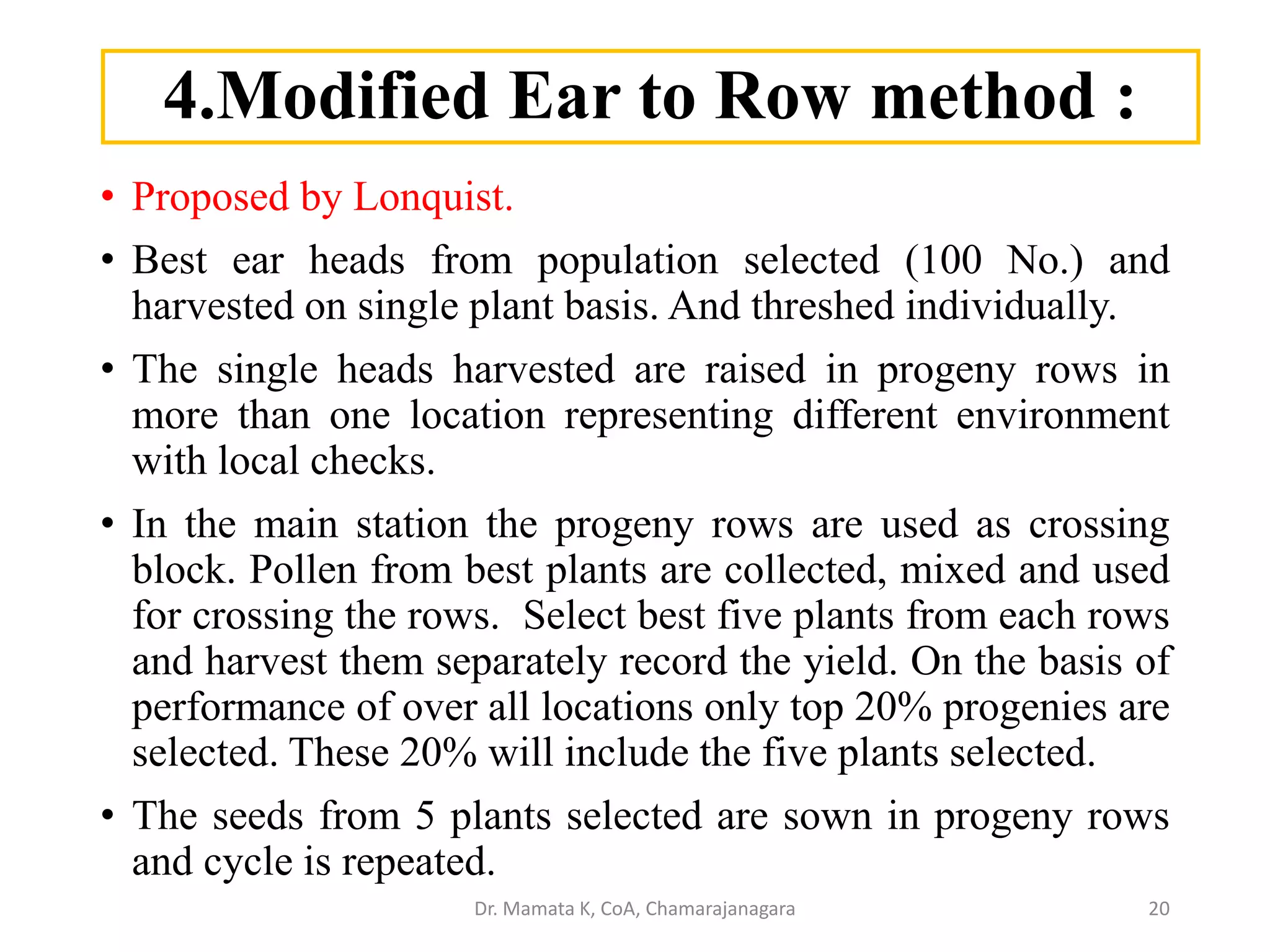 Breeding of Maize | PDF