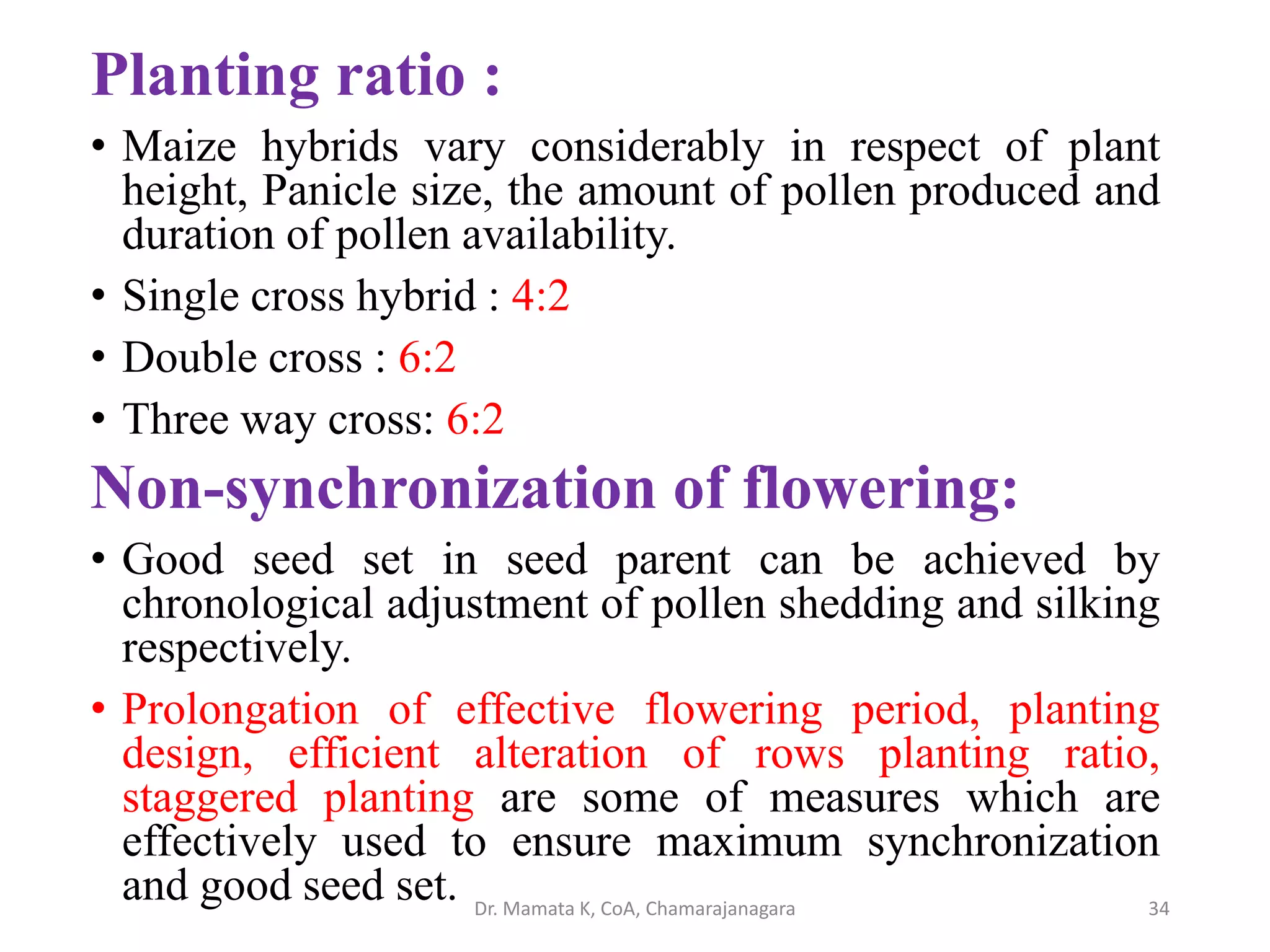 Breeding of Maize | PDF