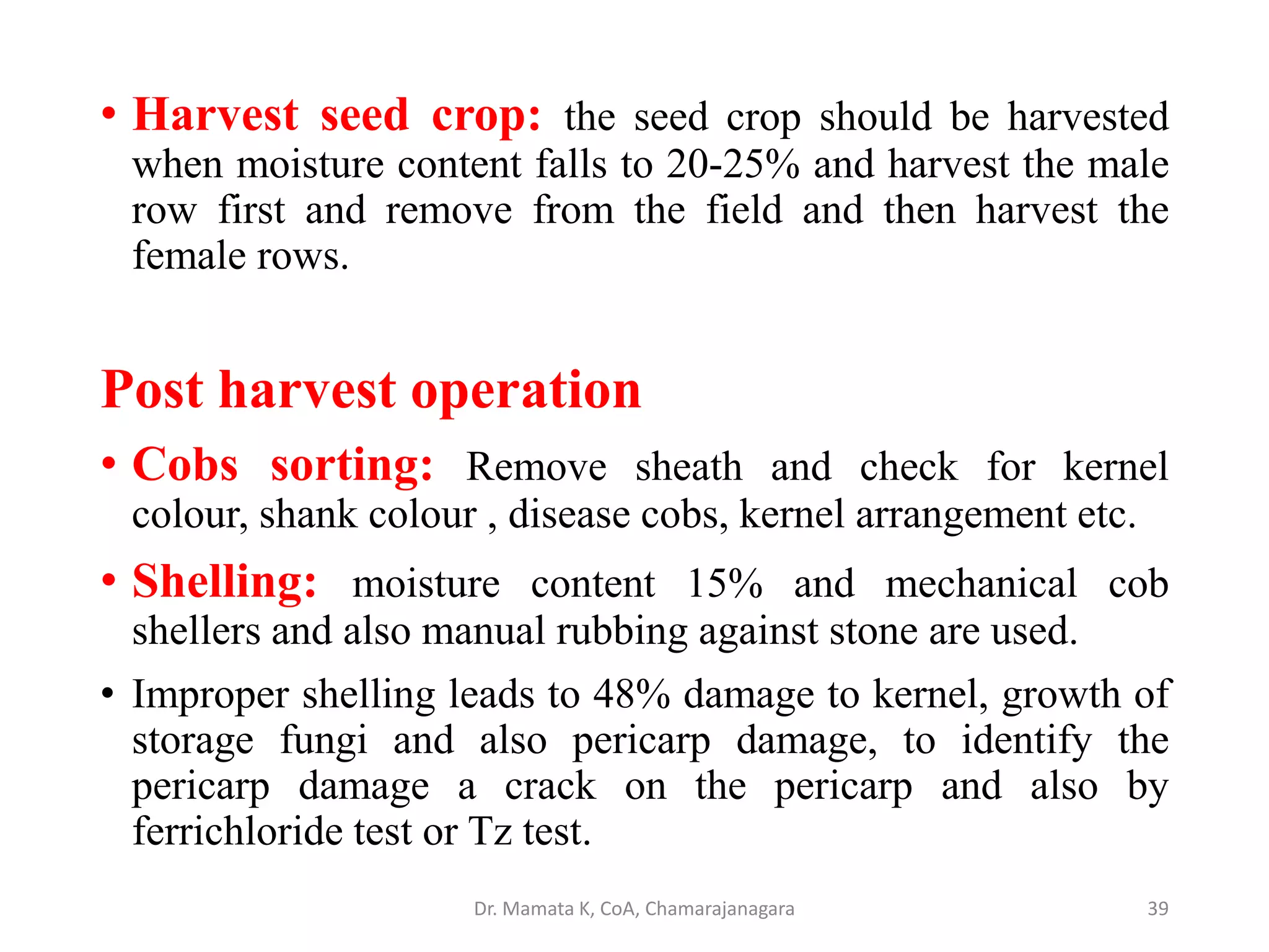 Breeding of Maize | PDF