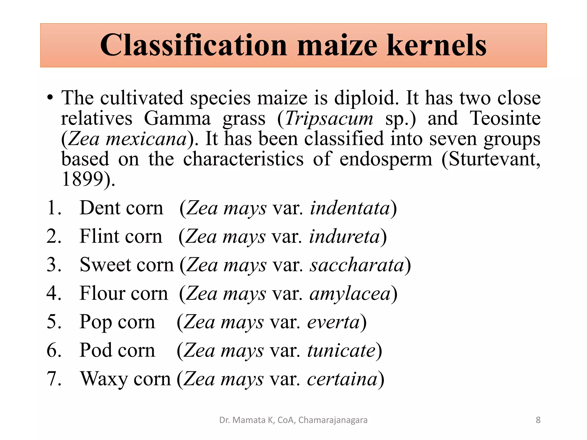 Breeding of Maize | PDF