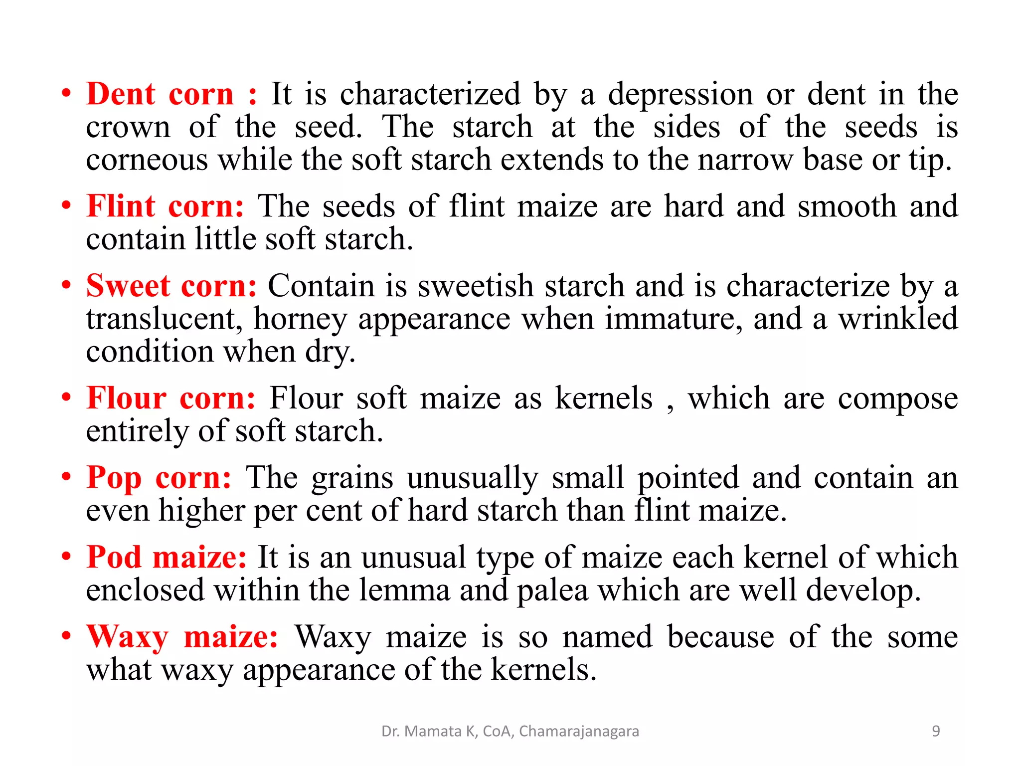 Breeding of Maize | PDF