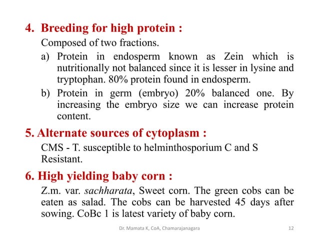 Breeding of Maize | PDF