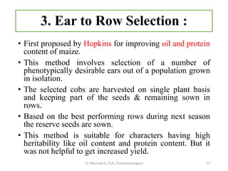 Breeding of Maize | PDF