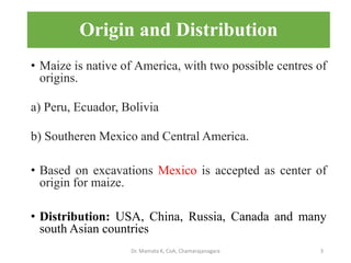 Breeding of Maize | PDF