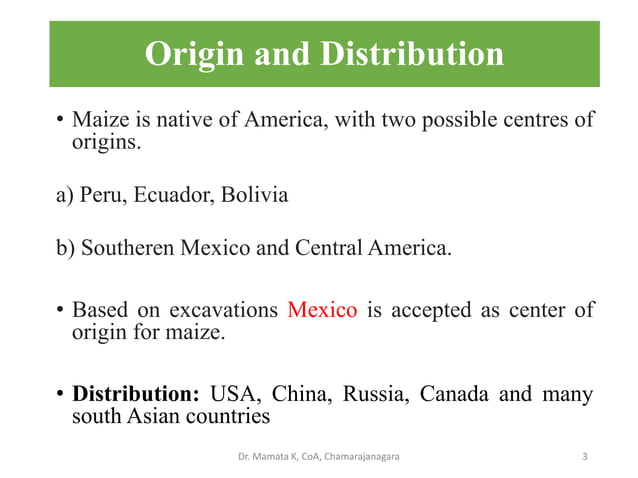 Breeding of Maize | PDF