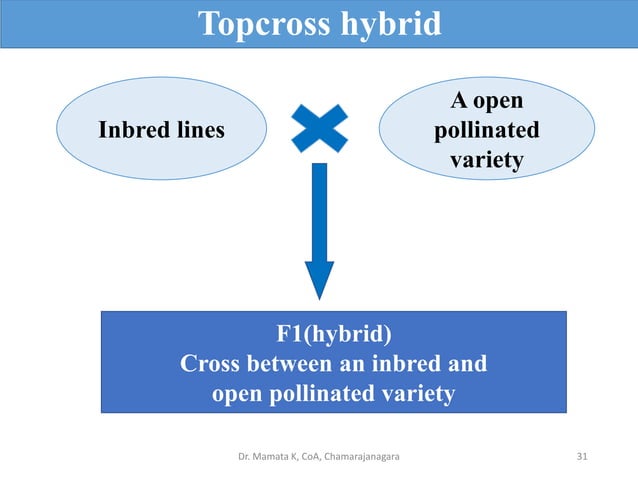 Breeding of Maize | PDF