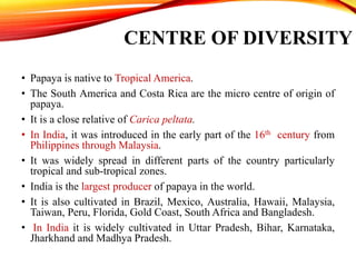 breedingofpapaya-200301150642.pdf