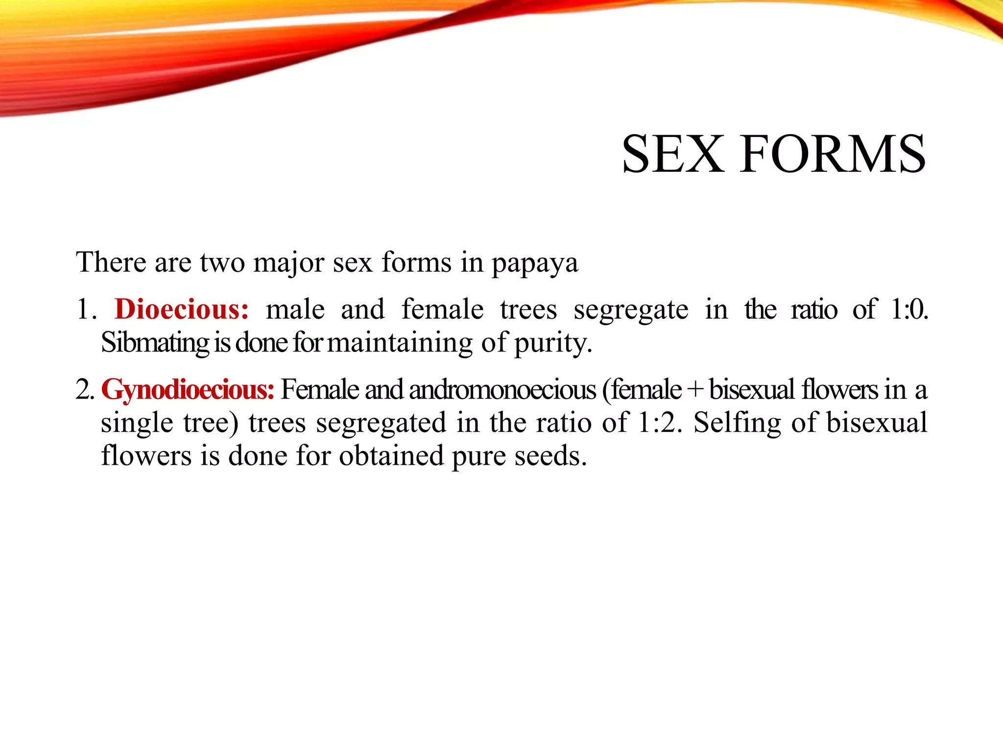 Breeding of papaya | PPTX