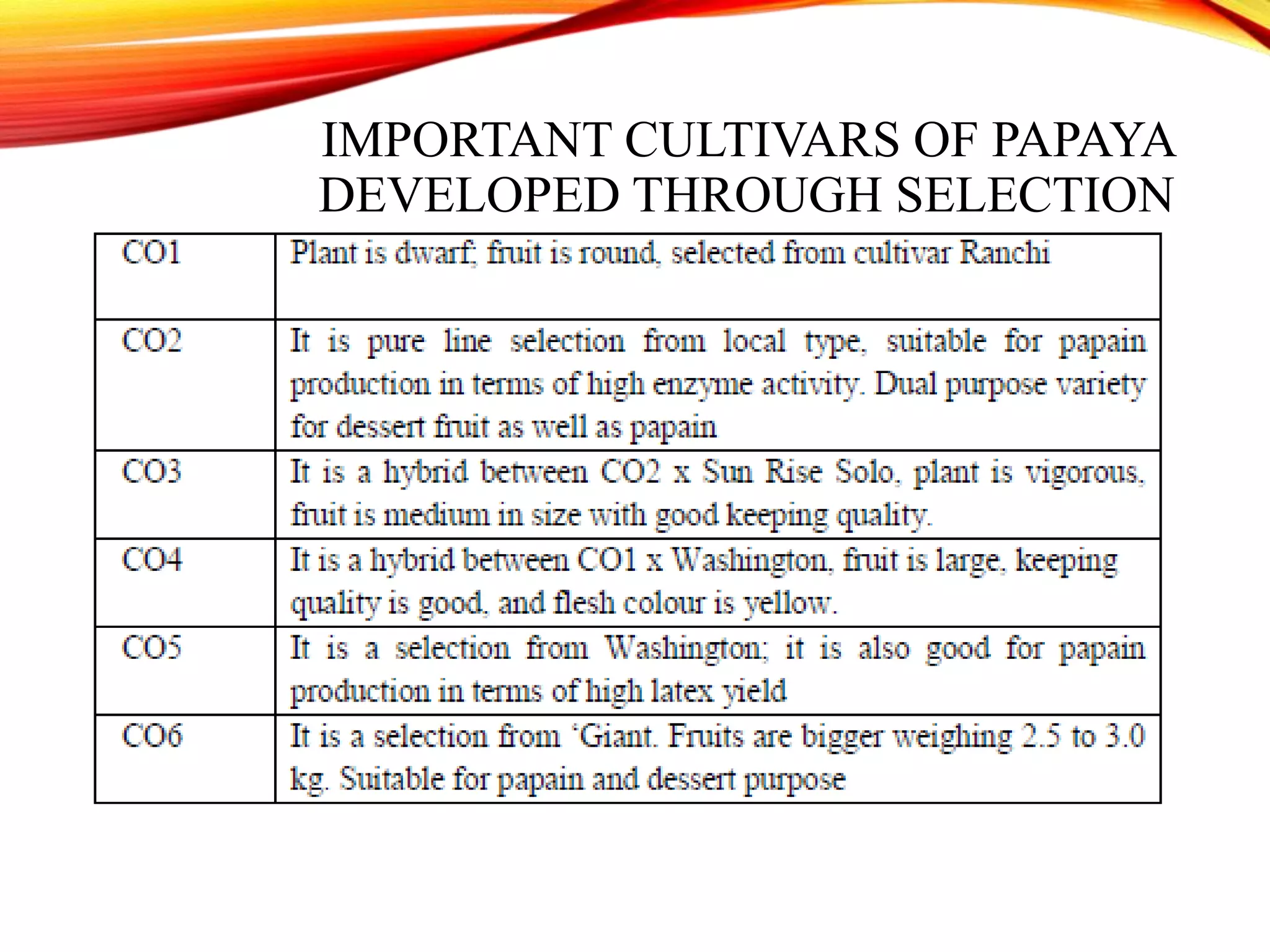 Breeding of papaya | PPTX