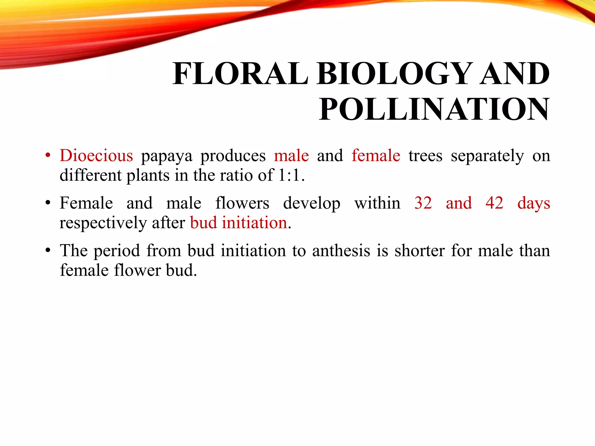 Breeding of papaya | PPTX