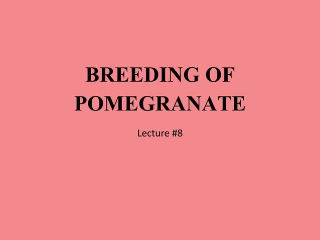 Breeding of pomegranate | PPTX