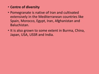 Breeding of pomegranate | PPTX