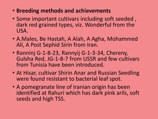 Breeding of pomegranate | PPTX