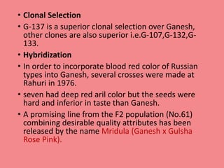 Breeding of pomegranate | PPTX