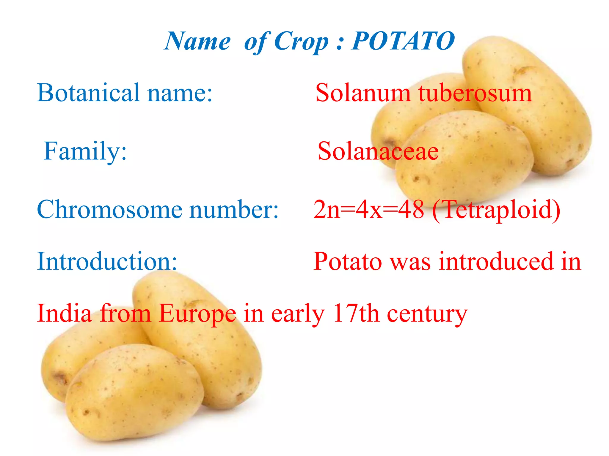 Breeding of potato | PPTX