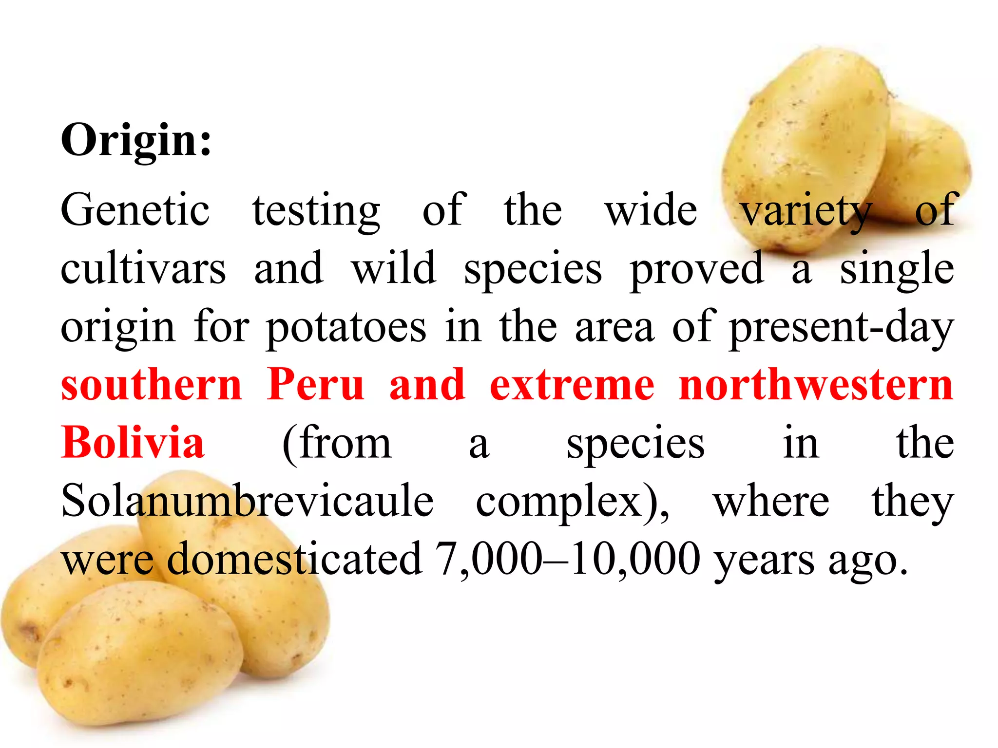Breeding of potato | PPTX