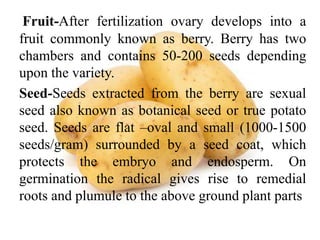 Breeding of potato | PPTX