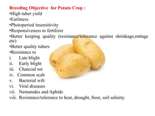 Breeding of potato | PPTX