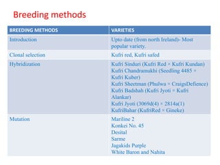 Breeding of potato | PPTX