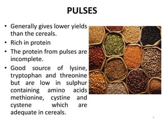 Breeding of Pulses | PPTX