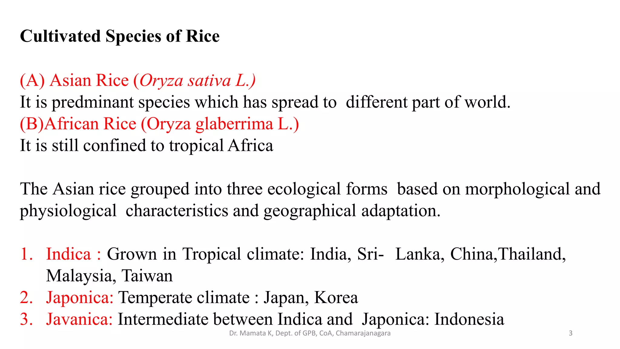 Breeding of rice | PDF