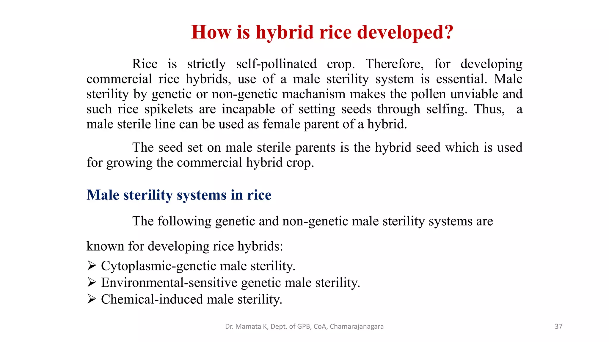 Breeding of rice | PDF