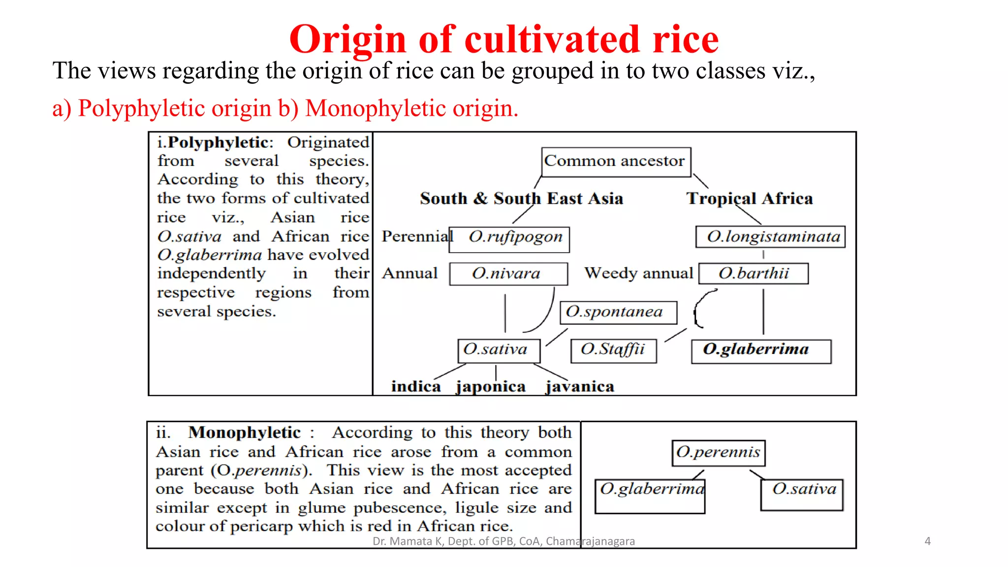 Breeding of rice | PDF