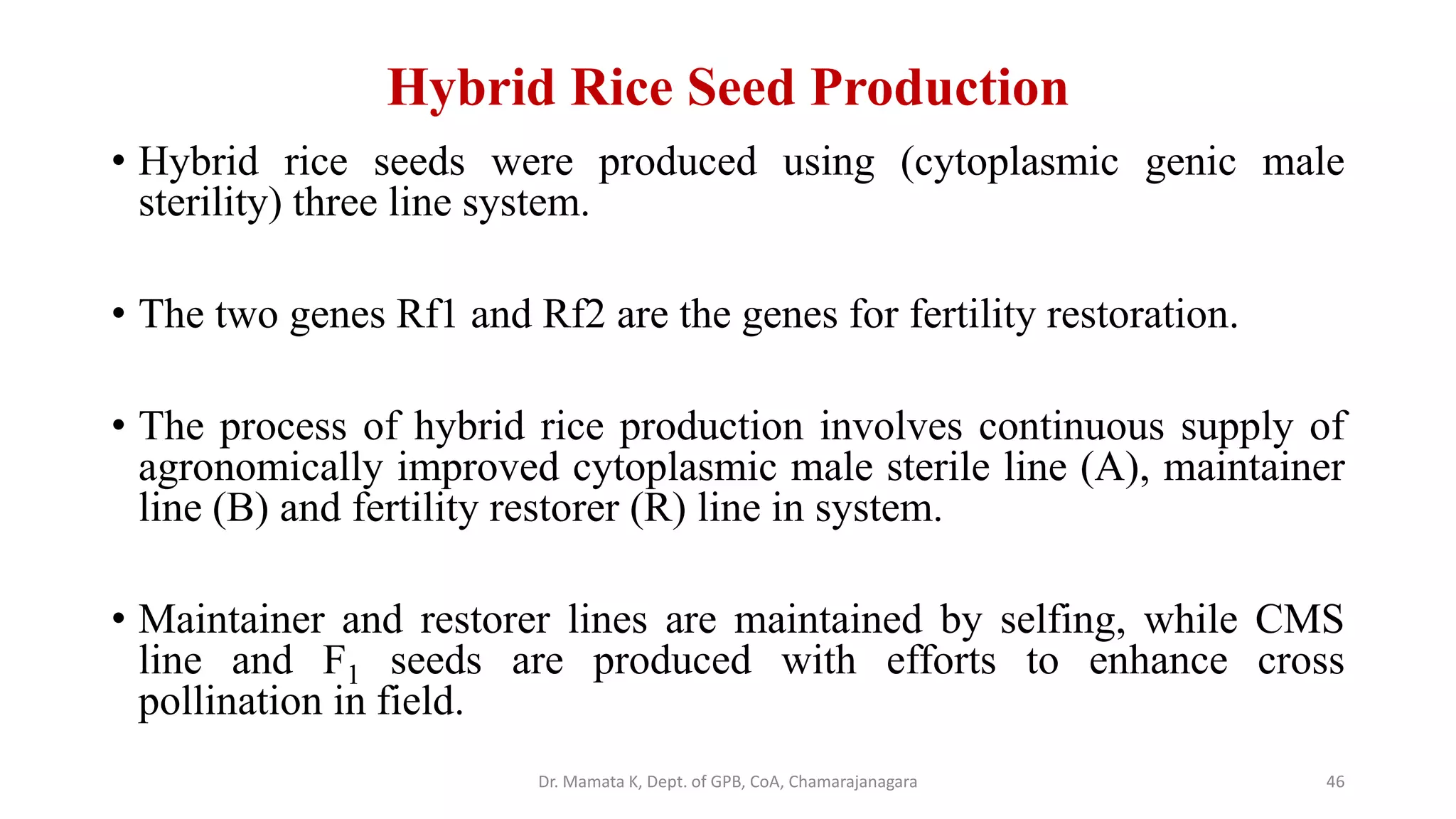 Breeding of rice | PDF