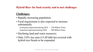 Breeding of rice | PDF