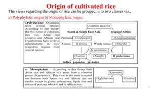 Breeding of rice | PDF