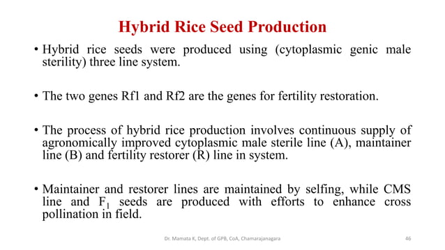 Breeding of rice | PDF | Agriculture | Industries