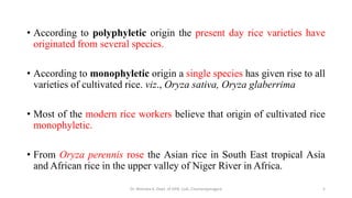 Breeding of rice | PDF