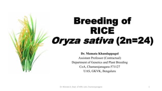 Breeding of rice | PPT