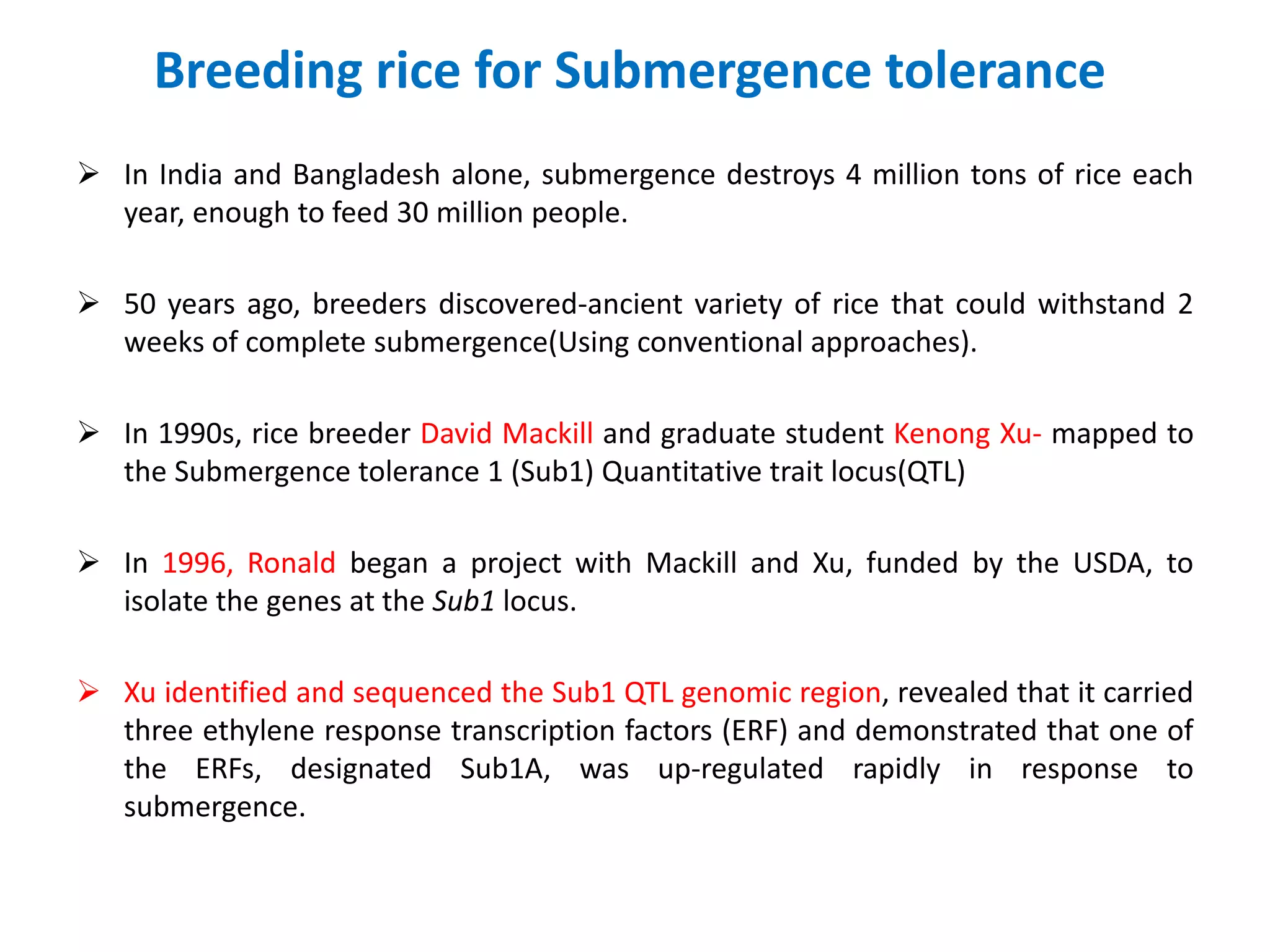 Breeding of rice.pptx
