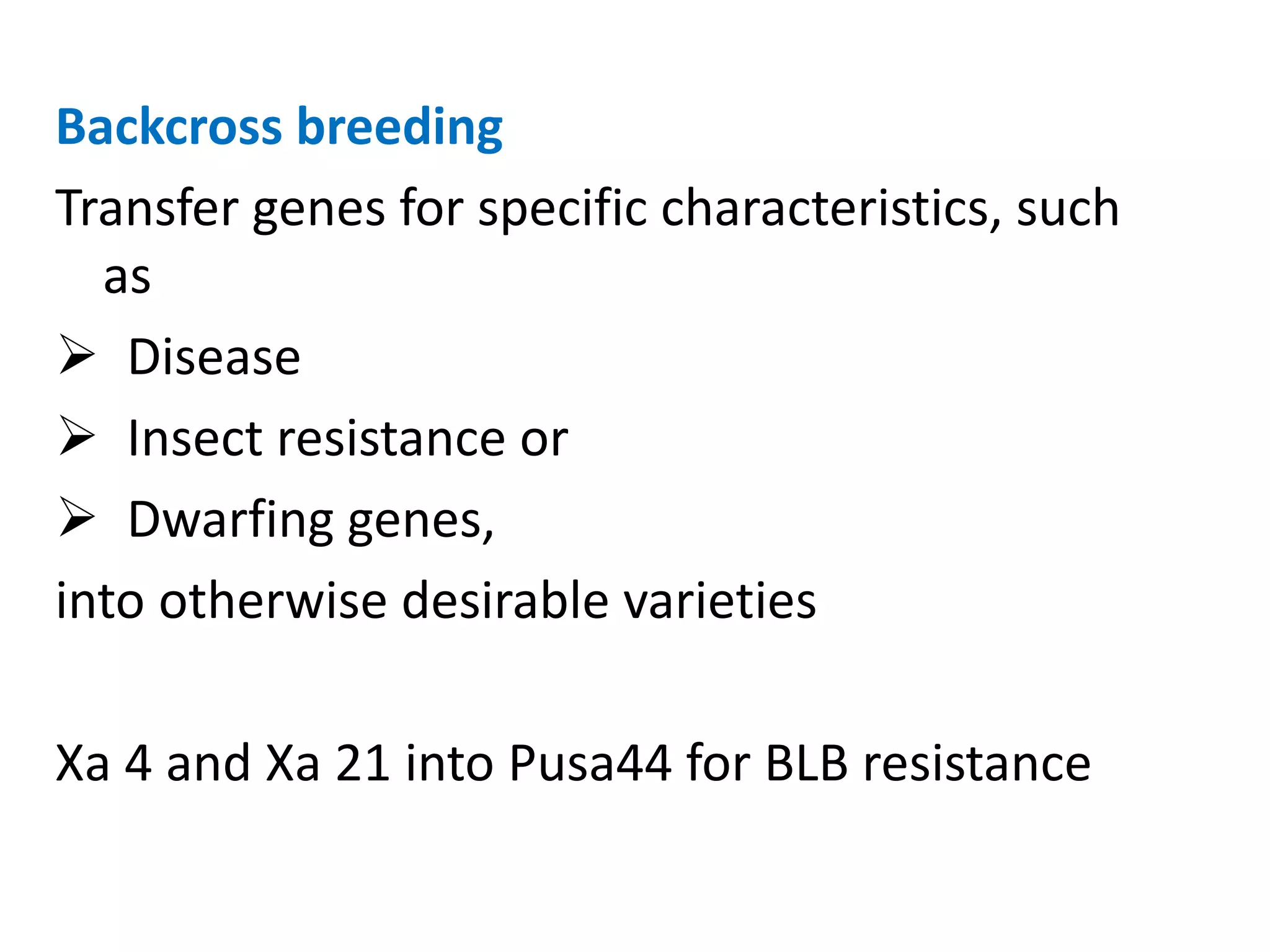 Breeding of rice.pptx